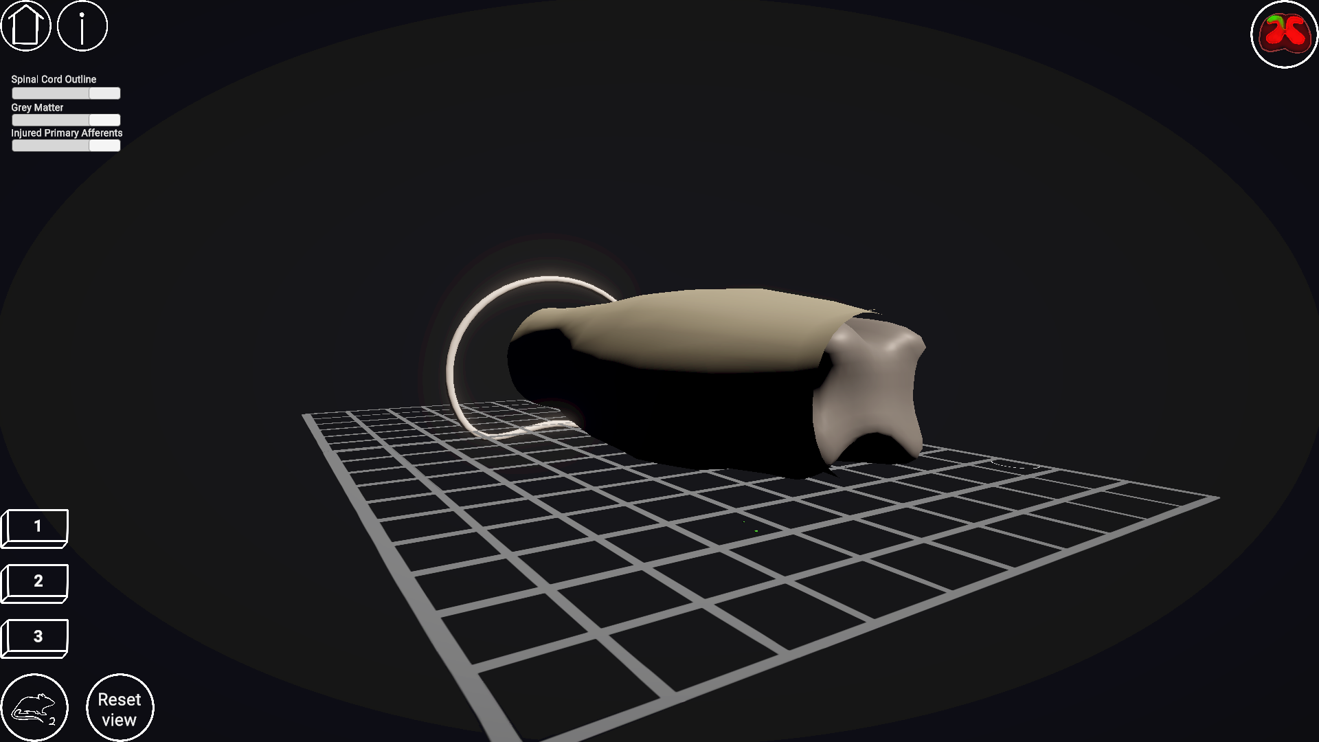 MSc Medical Visualisation & Human Anatomy – GSA Postgrad Showcase 2024